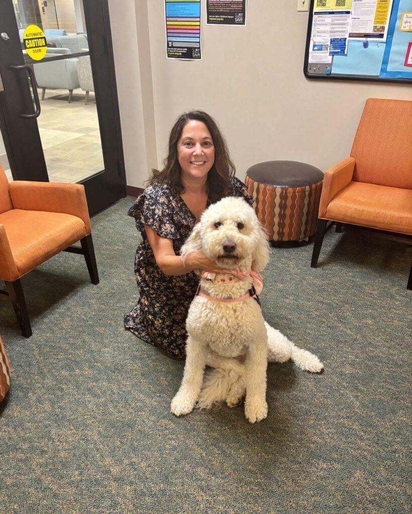 Meet Ellie the Doodle – Our Campus Therapy Dog! 🐾 | SUNY Niagara Today